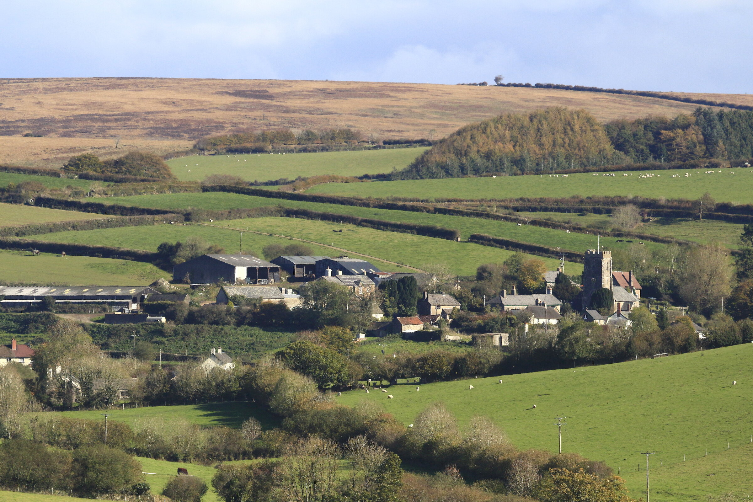 The Molland Estate